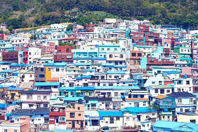 Private Busan Tour with hidden gem of Busan by Local Guide - FAQs