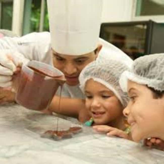 Private: Cacao Plantation Tour with Lunch & Tasting - What to Expect from Your Cacao Adventure