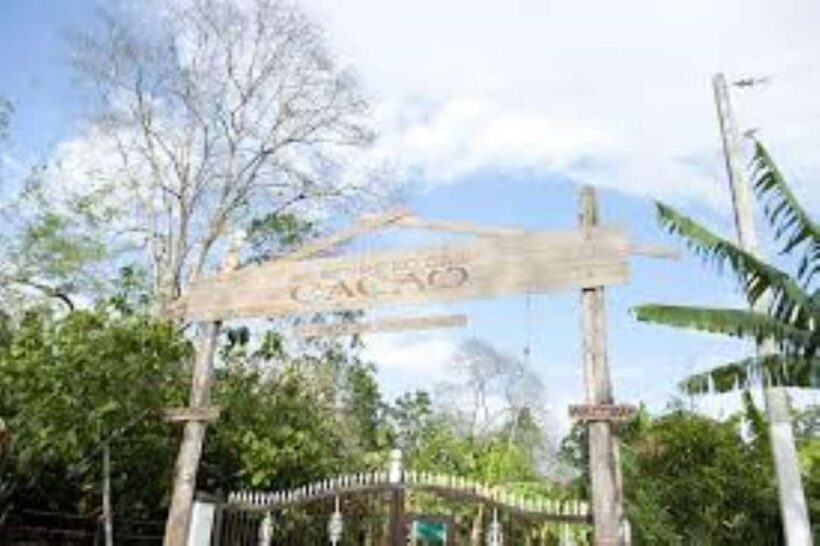 Private: Cacao Plantation Tour with Lunch & Tasting - Why This Tour Offers Good Value