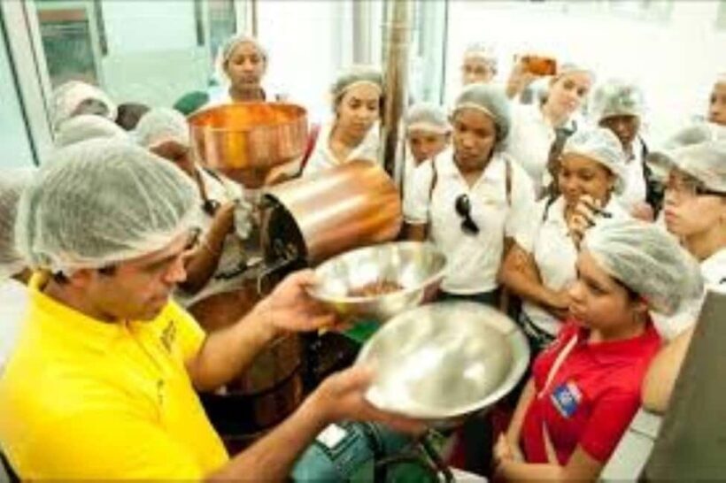 Private: Cacao Plantation Tour with Lunch & Tasting - FAQ