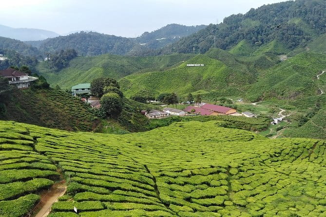 Private: Cameron Highlands 2 days 1 night Trip - Key Points