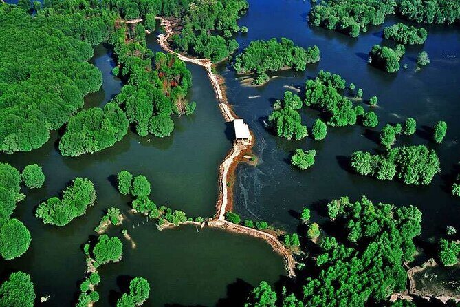 Private Can Gio Mangrove Forest 1 Day - Exploring the Can Gio Mangrove Forest: A Natural Haven Close to Ho Chi Minh