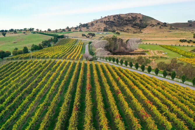 Private Canberra Winery Tour with lunch - Who Will Love This Tour?