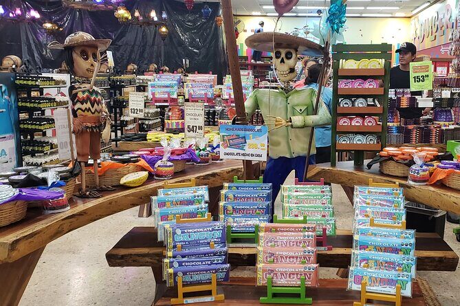 Private Cancun Shopping and City Tour - Who Should Consider This Tour?