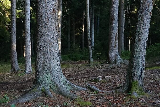 Private Canyon&Cave Tour from Kutaisi(Martvili-Okatse-Prometheus) - Frequently Asked Questions