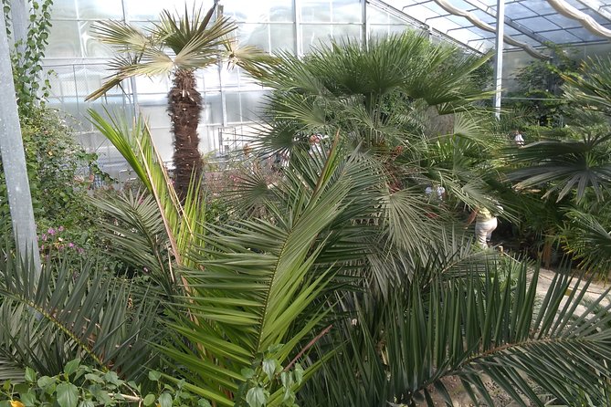 Private Cape Kaliakra & the Balchik Botanical Gardens from Varna - Frequently Asked Questions