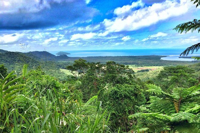 Private Cape Tribulation & Mossman Gorge Day Tour - Discovering the Best of Tropical North Queensland: A Review of the Private Cape Tribulation & Mossman Gorge Day Tour