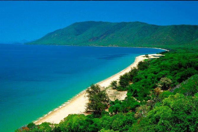 Private Cape Tribulation & Mossman Gorge Day Tour - The Practical Side: Logistics, Cost, and What to Expect