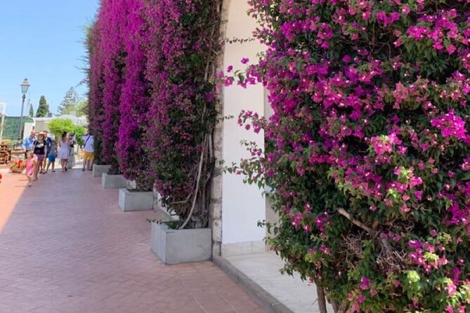 Private Capri and Blue Grotto Day Tour From Sorrento - An In-Depth Look at the Tour Itinerary