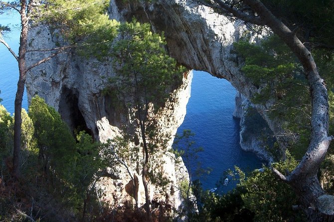 Private Capri Blue Grotto No Stress Tour with Kids from Sorrento - Frequently Asked Questions
