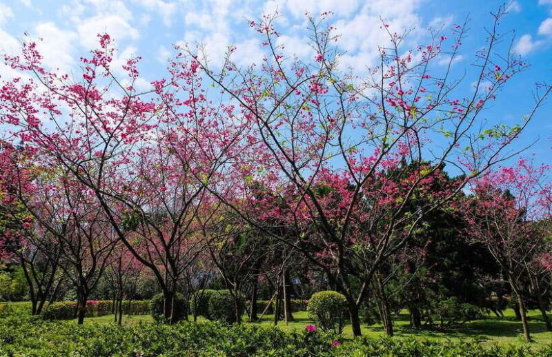 Private Car: 8-Hour Customized Taipei City Exploration! - Discover Taipei on Your Terms: What This Tour Offers