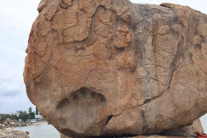 Private Car Airport Transfer to Nha Trang City - Final Thoughts: Who Is This Tour Best For?
