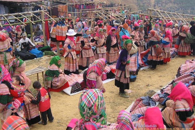 Private Car and Tour Guide Exploring Northern Vietnam - Who Would Enjoy This Tour?