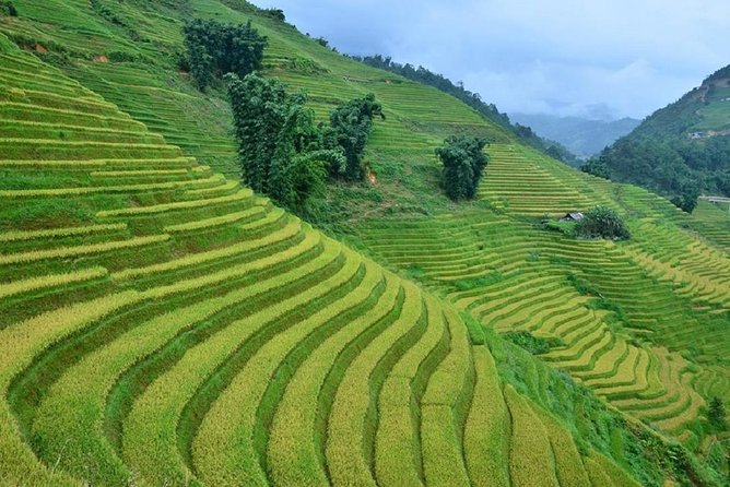 Private Car and Tour Guide Exploring Northern Vietnam - FAQ