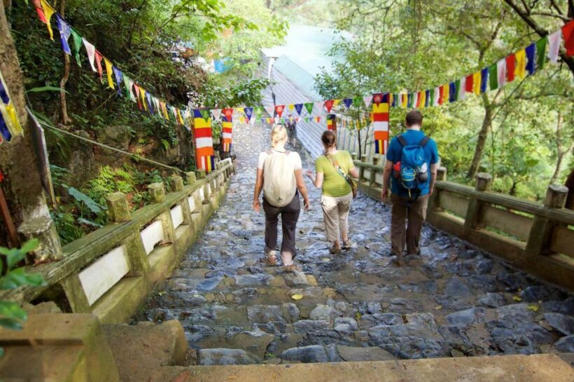 Private Car/Bus Renting Hanoi - Ninh Binh - Halong - Sapa... - Who Should Consider This Tour?
