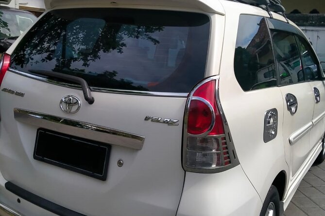 Private Car Charter: Hire Car with English Speaking Driver - What to Expect on Your Bali Private Car Day