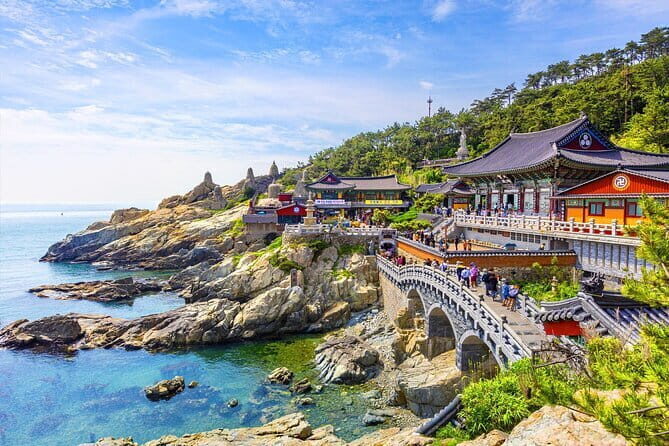 Private Car Charter Tour in Busan City - Key Points