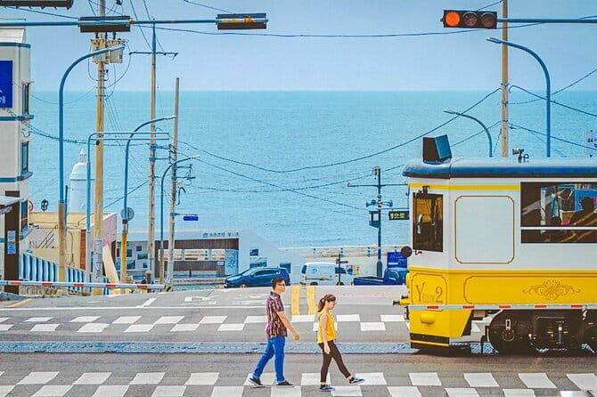 Private Car Charter Tour in Busan City - The Sum Up