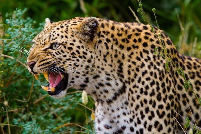Private Car & Driver for 07 Days Tour In Sri Lanka - Final Thoughts