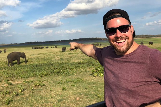 Private Car & Driver for 07 Days Tour In Sri Lanka - Day-by-Day Breakdown