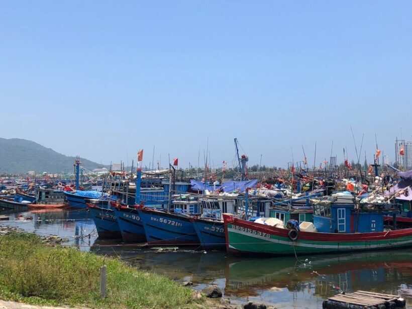 Private Car From Hoi An  My Son Sanctuary  Hoi An - Real Traveler Insights