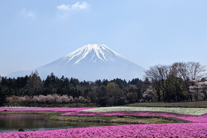 Private Car Mt Fuji and Gotemba Outlet in One Day From Tokyo - Itinerary and Customization