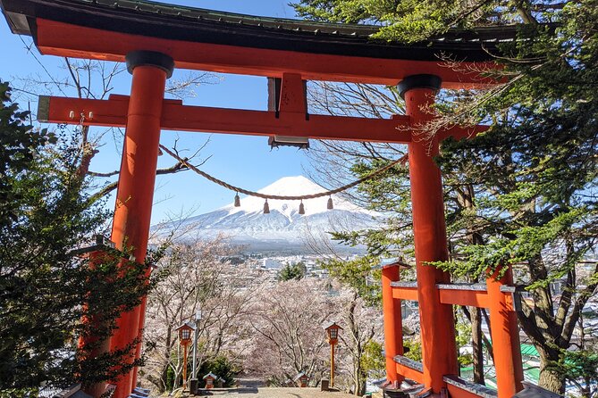 Private Car Mt Fuji and Gotemba Outlet in One Day From Tokyo - Scenic Highlights