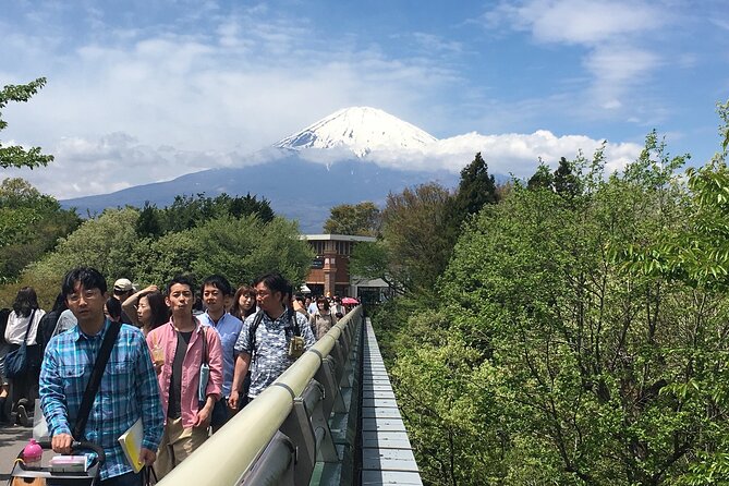 Private Car Mt Fuji and Gotemba Outlet in One Day From Tokyo - Memorable Experiences