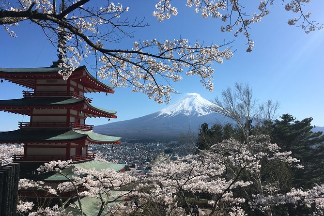 Private Car Mt Fuji and Gotemba Outlet in One Day From Tokyo - Traveler Feedback