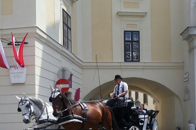 Private car or minivan transfer from Budapest to Vienna or back. - Key Points