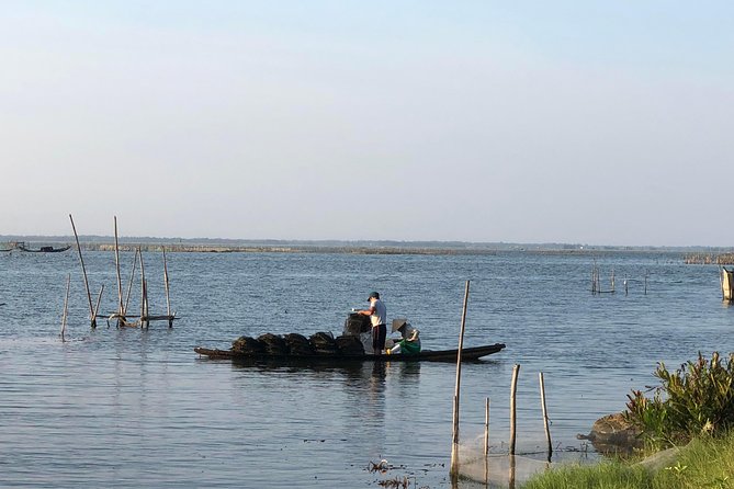 Private Car Sightseeing from Hue to Hoi An - The Practical Side: Transportation, Cost, and Timing