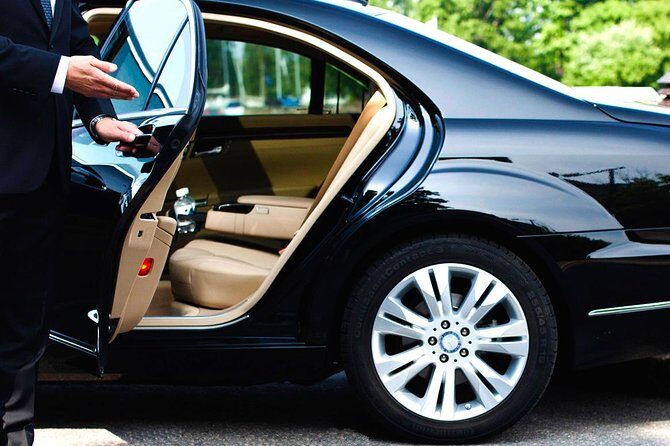 Private Car to MY SON Sanctuary and back from Hoi An/Da Nang - Who Is This Tour Best For?