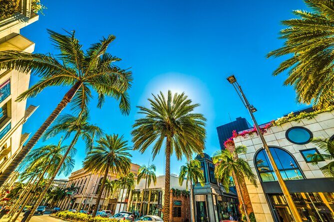 Private Car Tour LA Hollywood Beverly Hills Venice Santa Monica - Who Is This Tour Best For?
