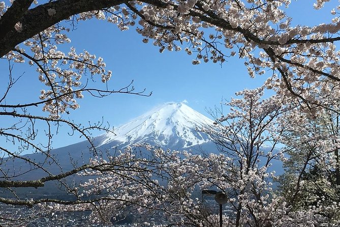 Private Car Tour to Mt. Fuji Lake Kawaguchiko - Tour Experience and Guides