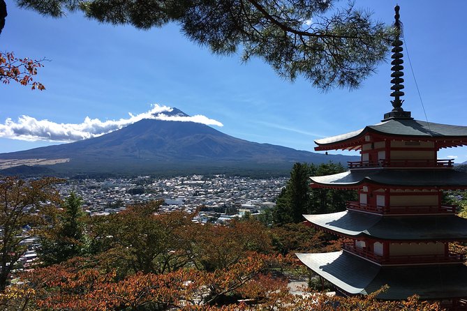 Private Car Tour to Mt. Fuji Lake Kawaguchiko - Itinerary Customization and Flexibility