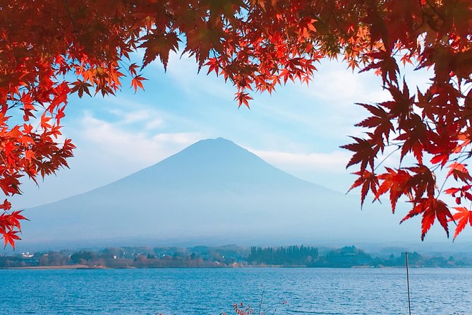 Private Car Tour to Mt. Fuji Lake Kawaguchiko - Accommodating Dietary Requirements