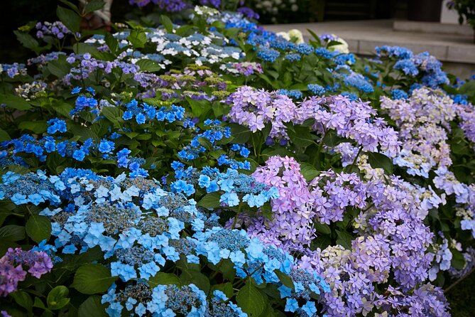 Private Car Tour to See Highlights of Kamakura, Enoshima, Yokohama From Tokyo - Visiting Yokohama