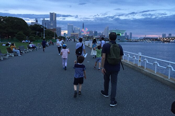 Private Car Transfer From Narita Airport to Tokyo - Journey Experience