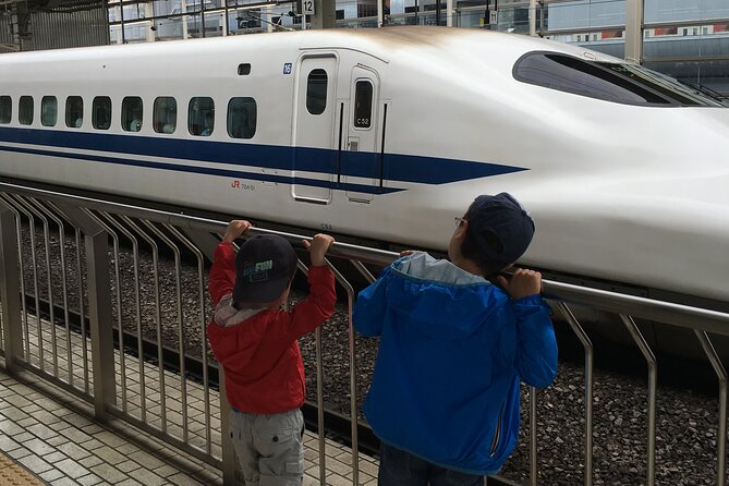 Private Car Transfer From Narita Airport to Tokyo - Traveler Reviews and Feedback
