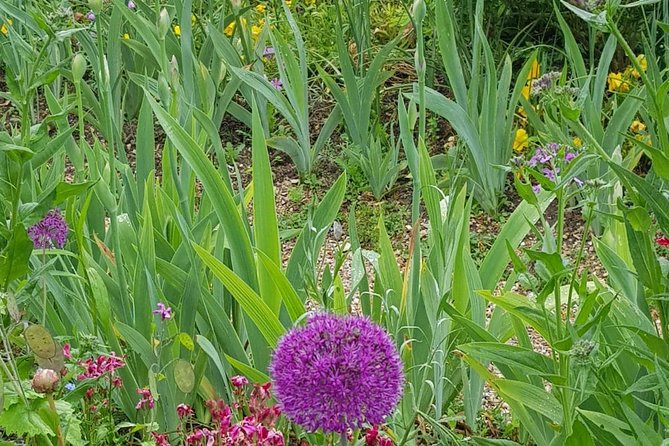 Private Car Trip to Giverny Garden from Paris - Cost and Value Analysis