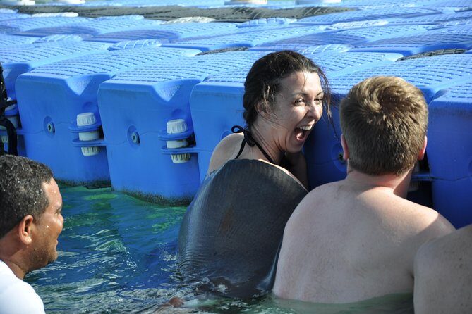 Private Caribbean Snorkeling Cruise At Punta Cana & Sharks, Stingray Encounter - A Closer Look at the Experience