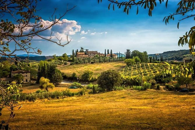 Private Carmignano Tour: The First Cabernet Sauvignon in Tuscany - Private Carmignano Tour: The First Cabernet Sauvignon in Tuscany — An In-Depth Review