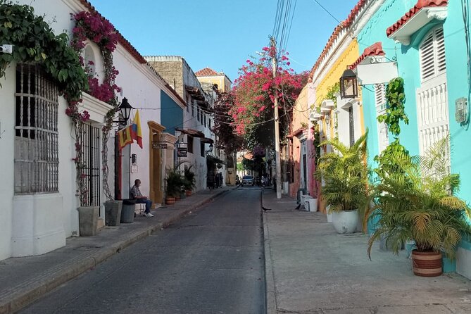 Private Cartagena City and Street Food Tour. - Pricing and Booking