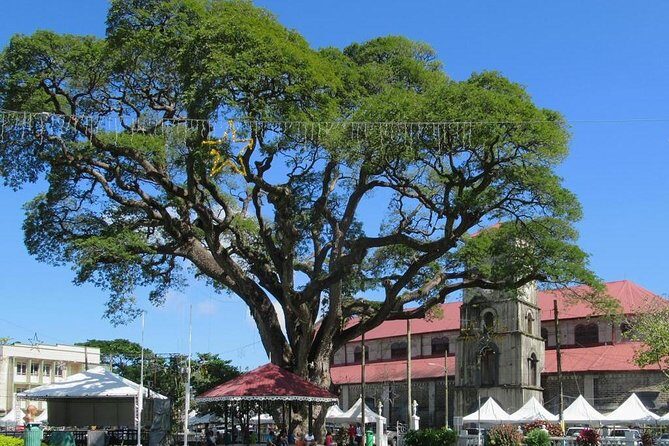 Private Castries or Shopping Tour/Transfers - Key Points