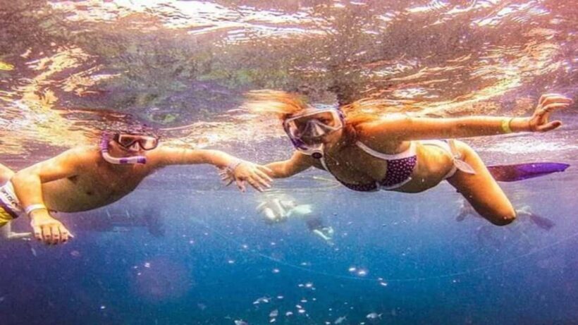 Private: Catalina Island Diving Tour with Lunch - A Day on Catalina Island: What to Expect