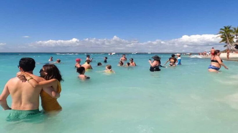 Private: Catalina Island Diving Tour with Lunch - Who Will Enjoy This Tour?