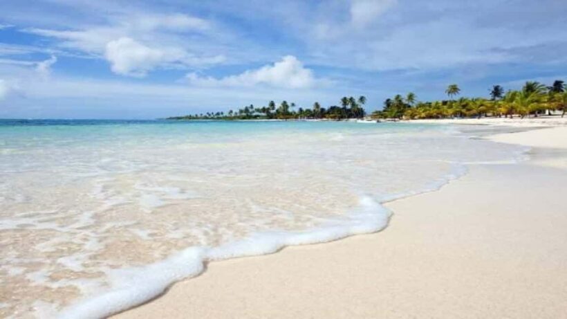 Private: Catalina Island Snorkeling & BBQ Boat Tour - Frequently Asked Questions