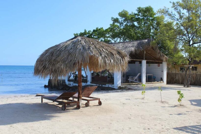 Private: Catamaran Adventure & Beach BBQ at Catalina Island - A Detailed Look at the Private Catamaran Adventure & Beach BBQ at Catalina Island