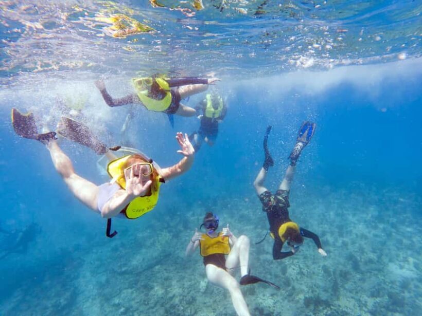 Private: Catamaran Adventure & Beach BBQ at Catalina Island - Who Should Consider This Tour?