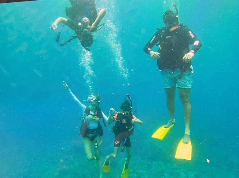 Private: Catamaran Adventure & Beach BBQ at Catalina Island - FAQ: Your Questions Answered